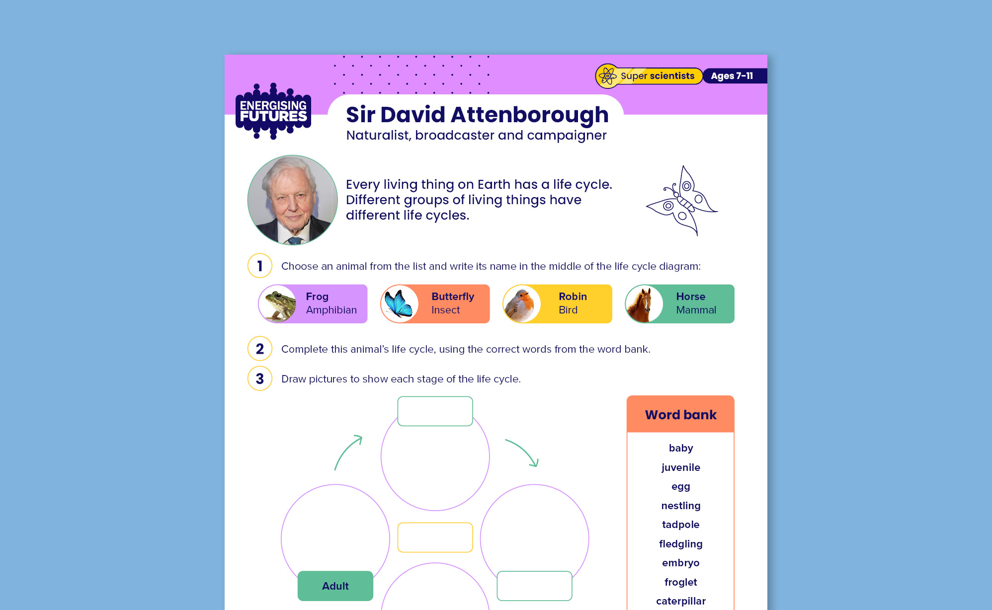 Sir David Attenborough life-cycle sheet | Energising Futures