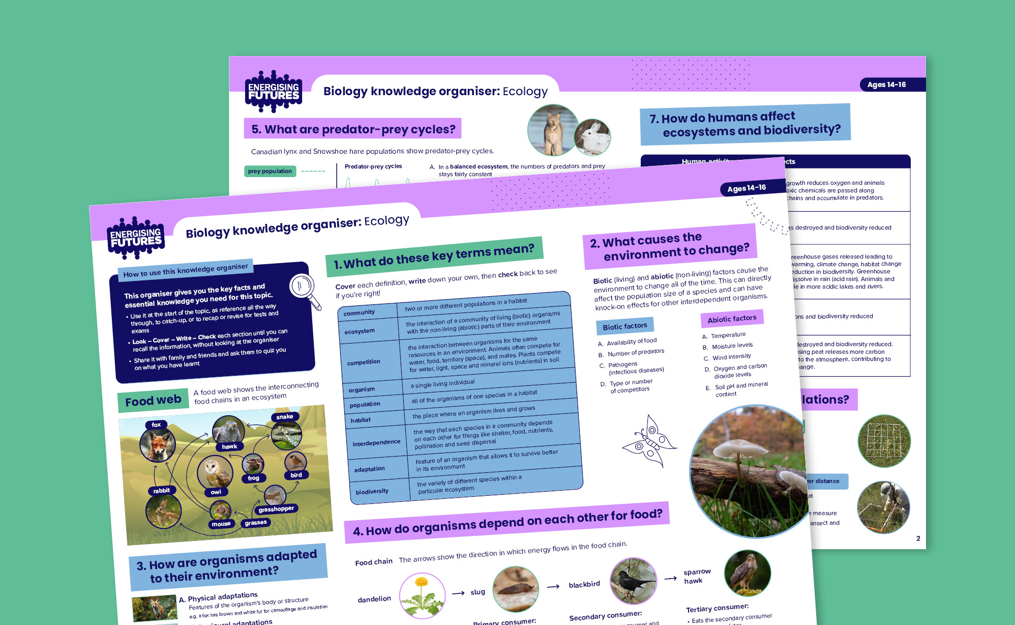 Ecology knowledge organiser | Energising Futures