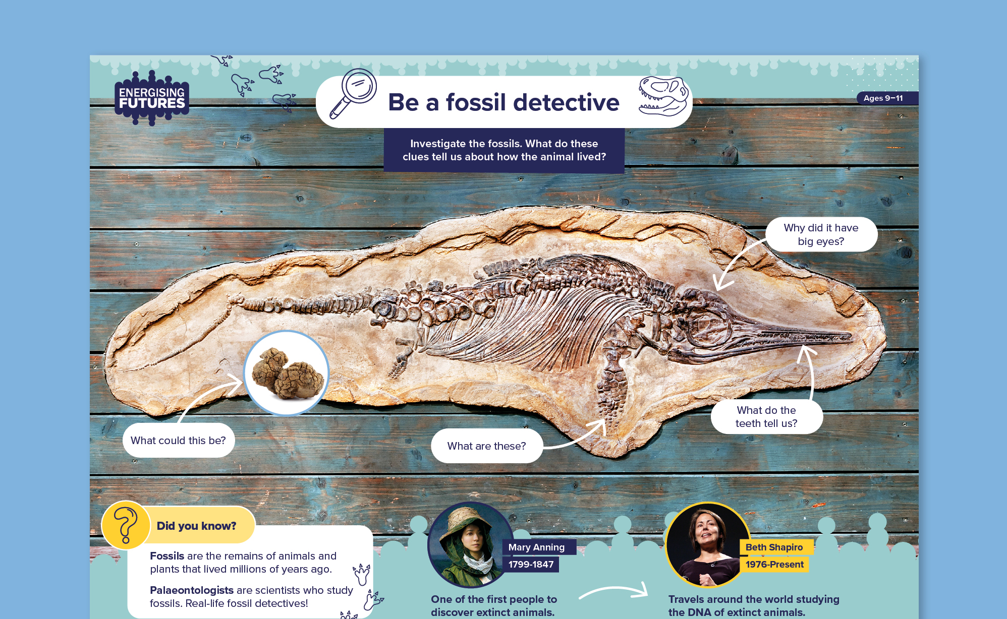 Be a fossil detective poster | Energising Futures