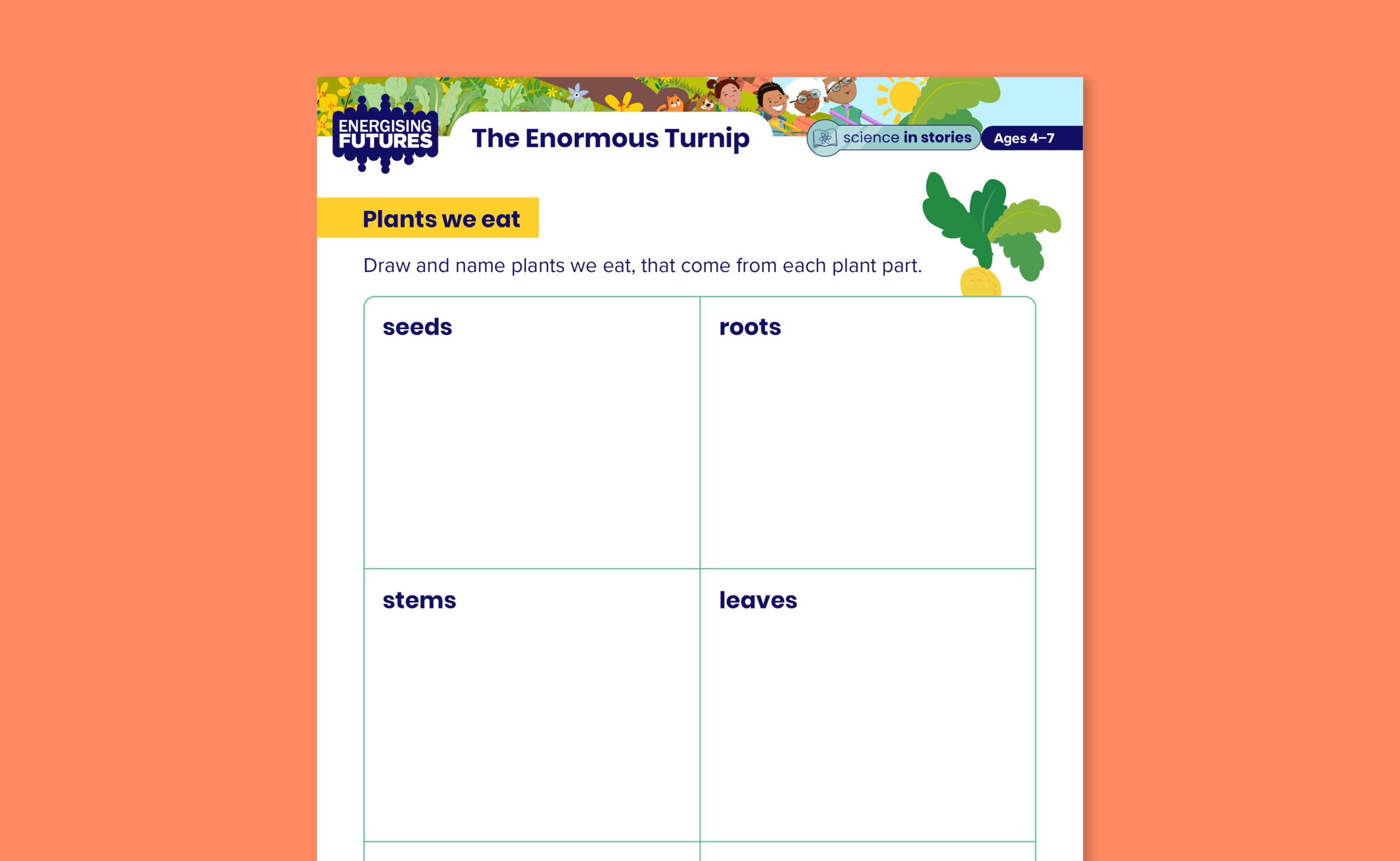 Plants we eat activity sheet | Energising Futures