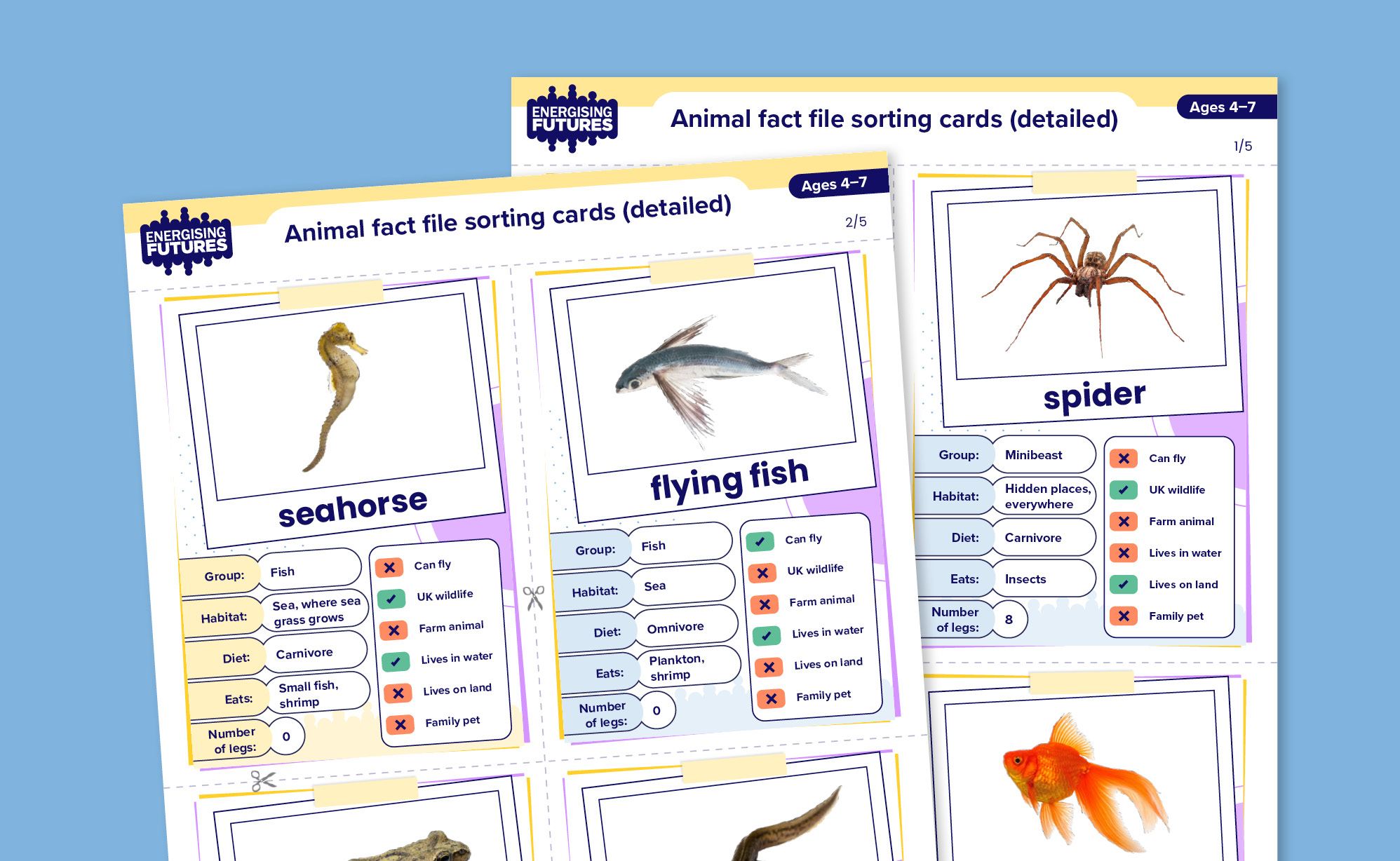 Animal explorer fact-file sorting cards (detailed) | Energising Futures