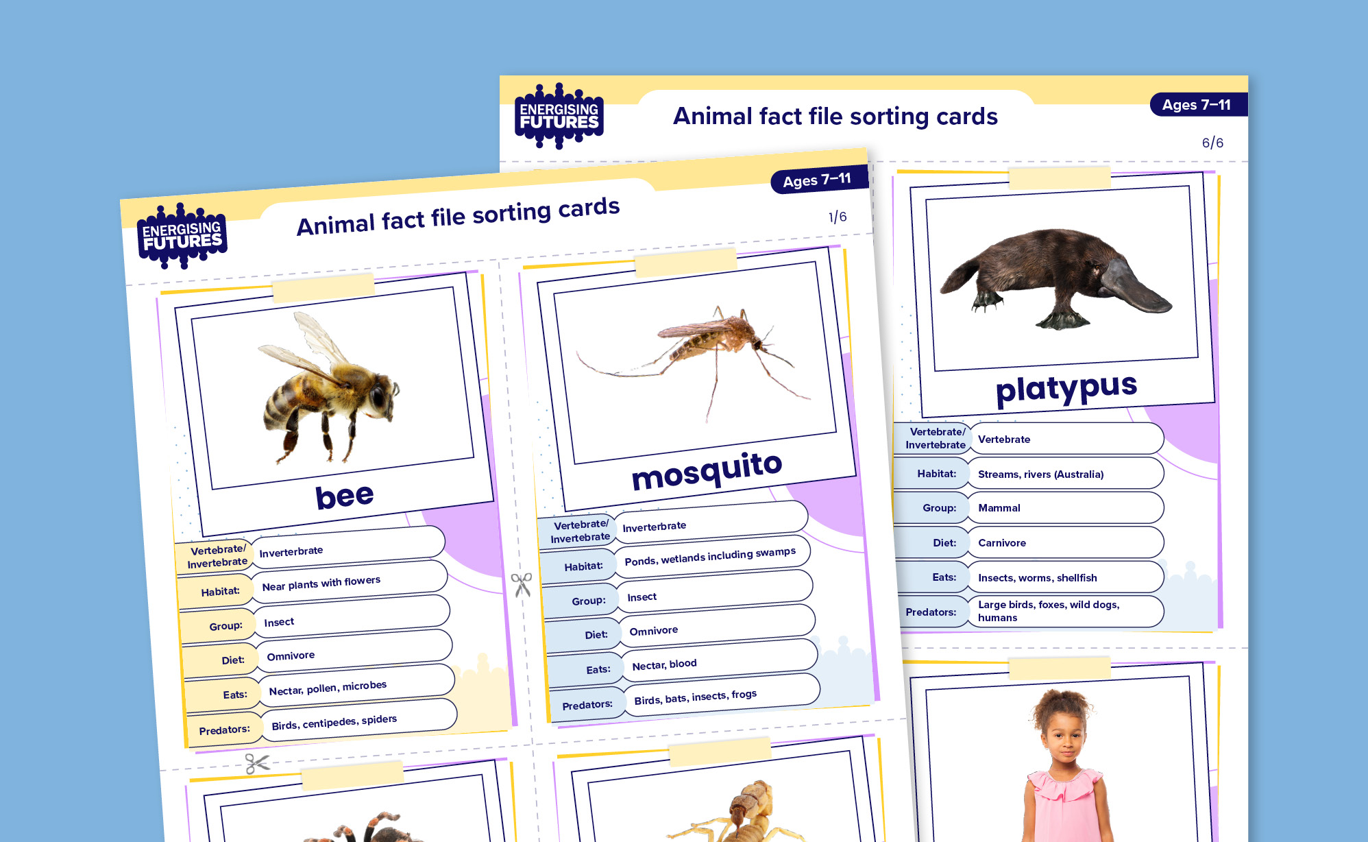 Animal explorer fact-file sorting cards | Energising Futures