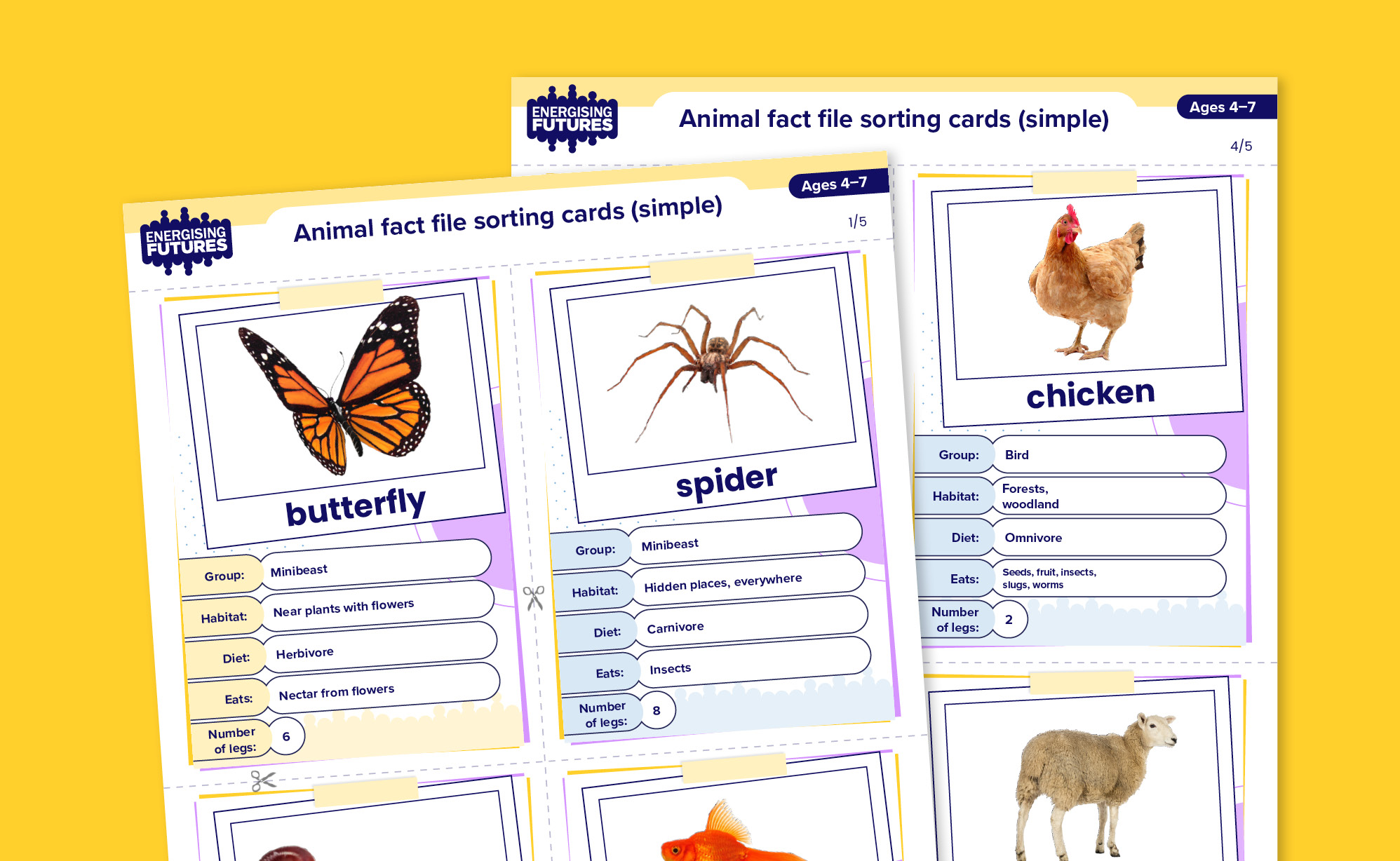 Animal explorer fact-file sorting cards (simple) | Energising Futures