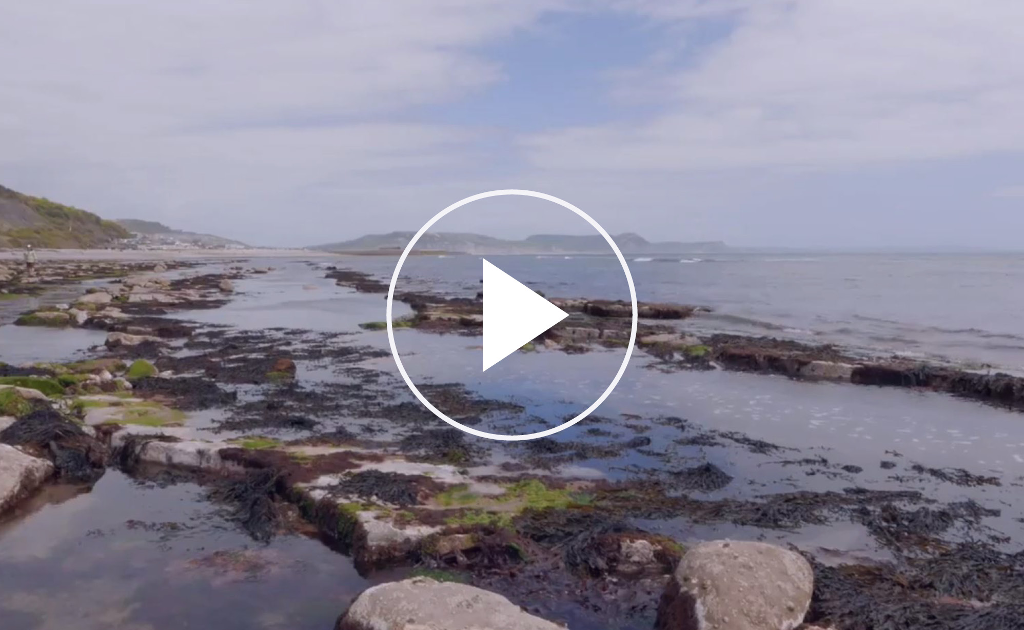Exploring habitats video | Energising Futures Exploring habitats video | Energising Futures