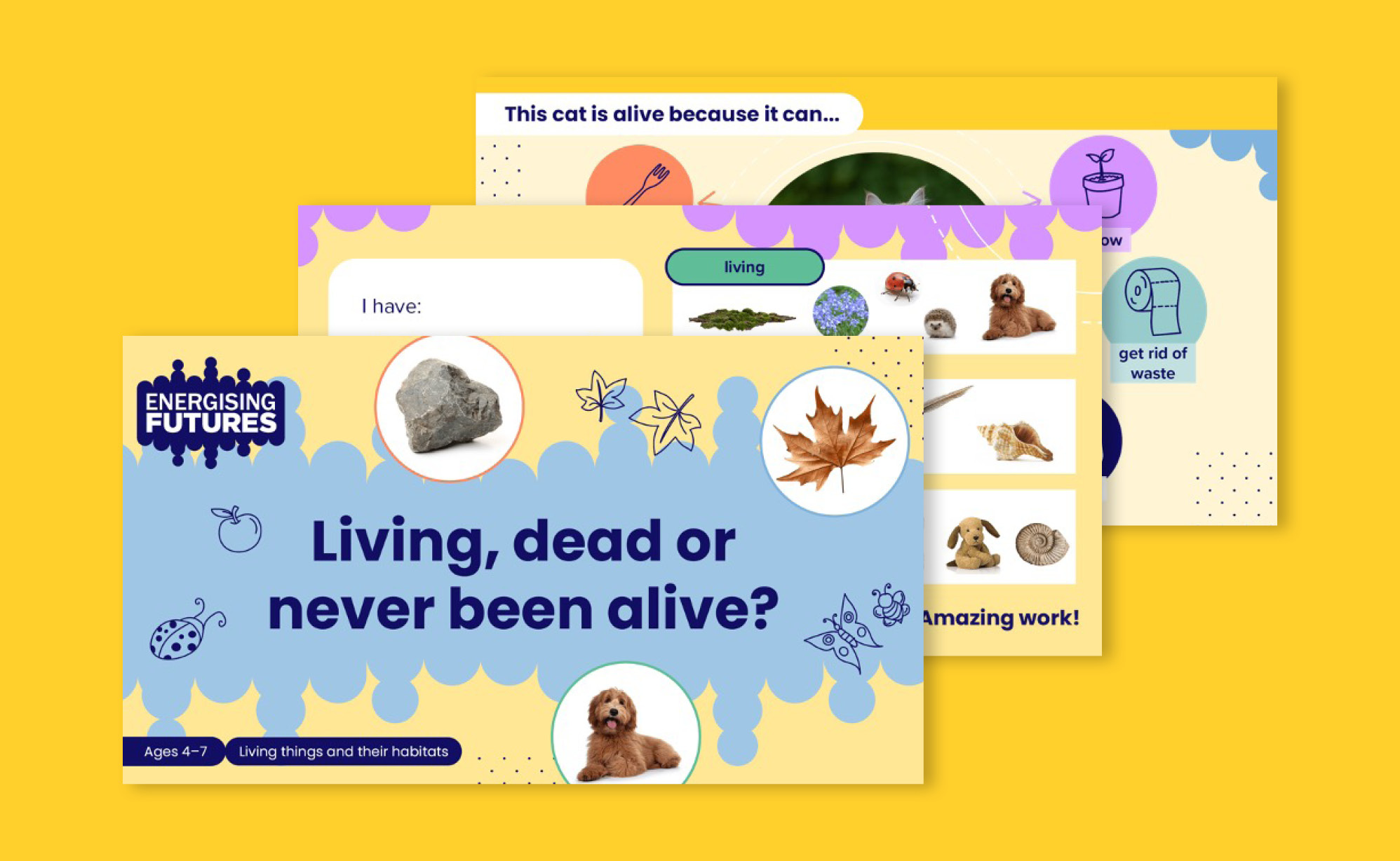Living, dead, never been alive quiz | Energising Futures