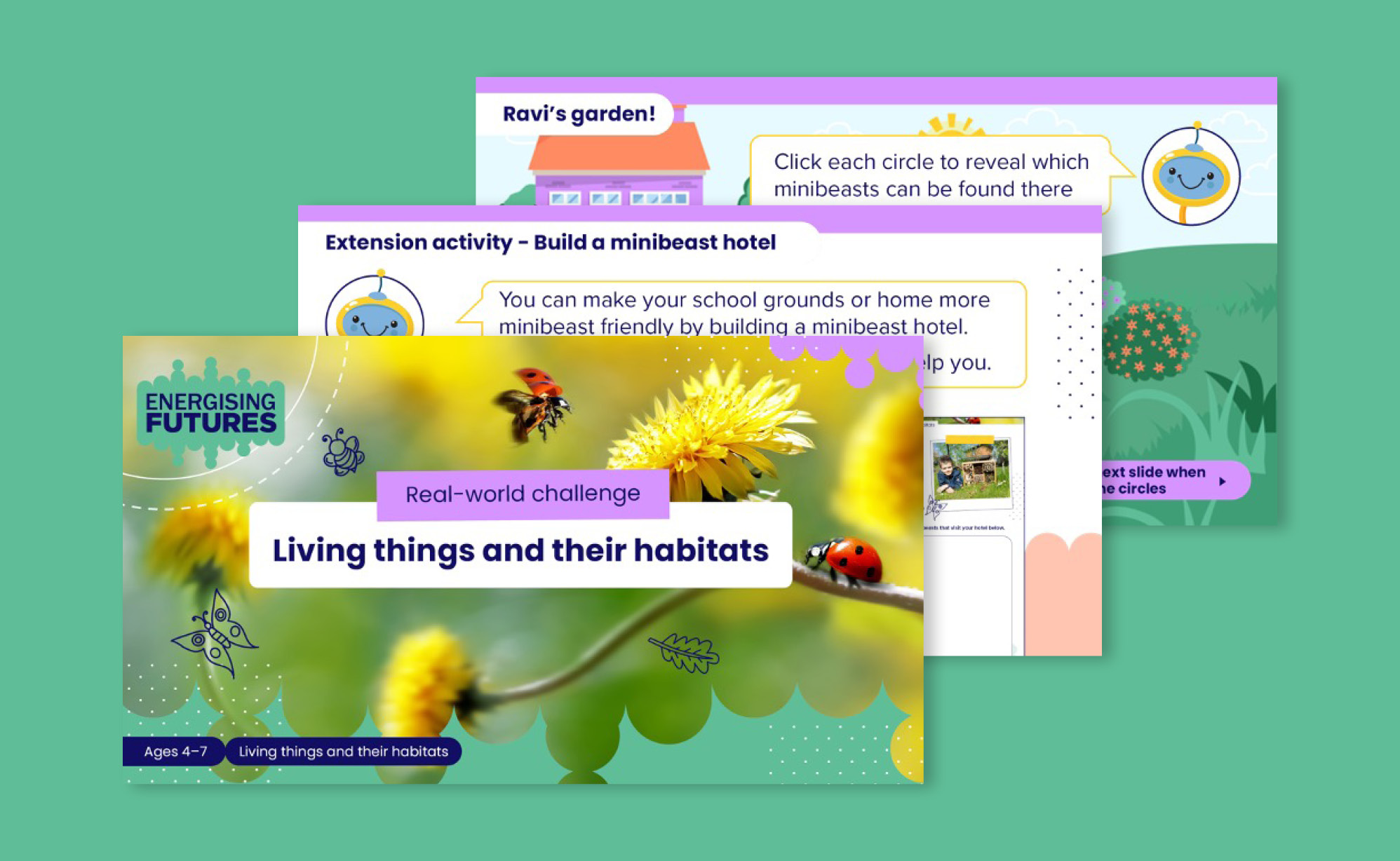 Be a minibeast habitat explorer presentation | Energising Futures