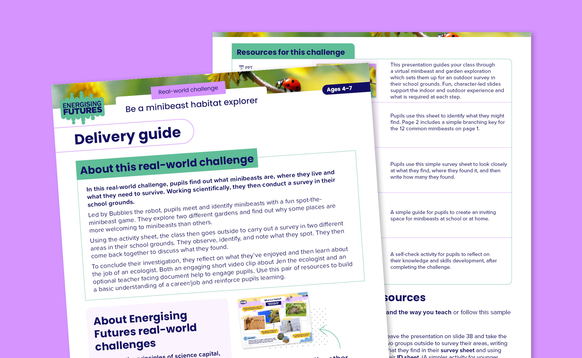 Be a minibeast habitat explorer delivery guide | Energising Futures
