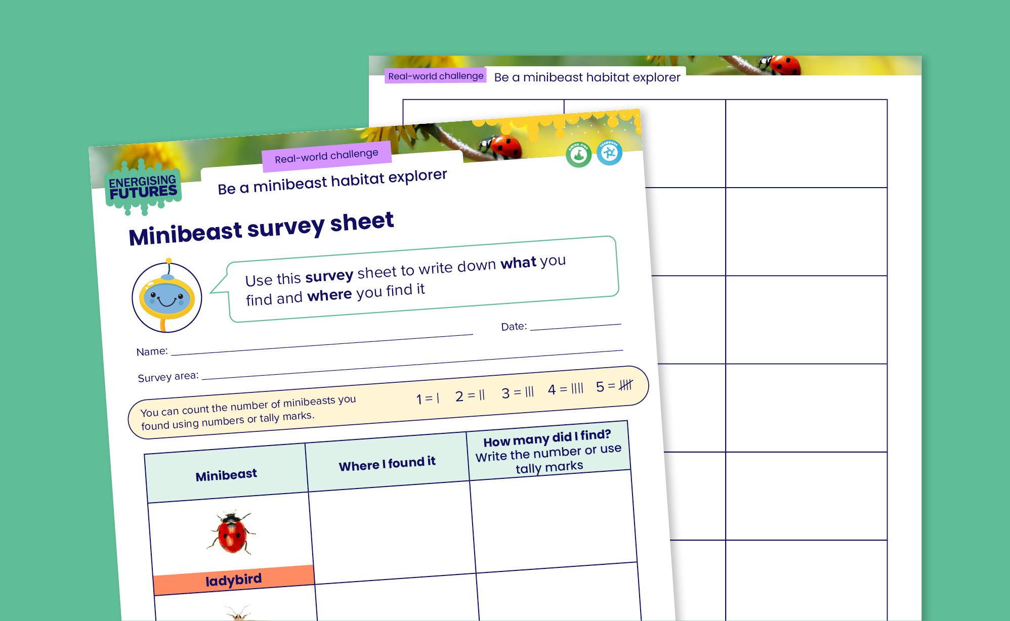 Minibeast survey activity sheet | Energising Futures
