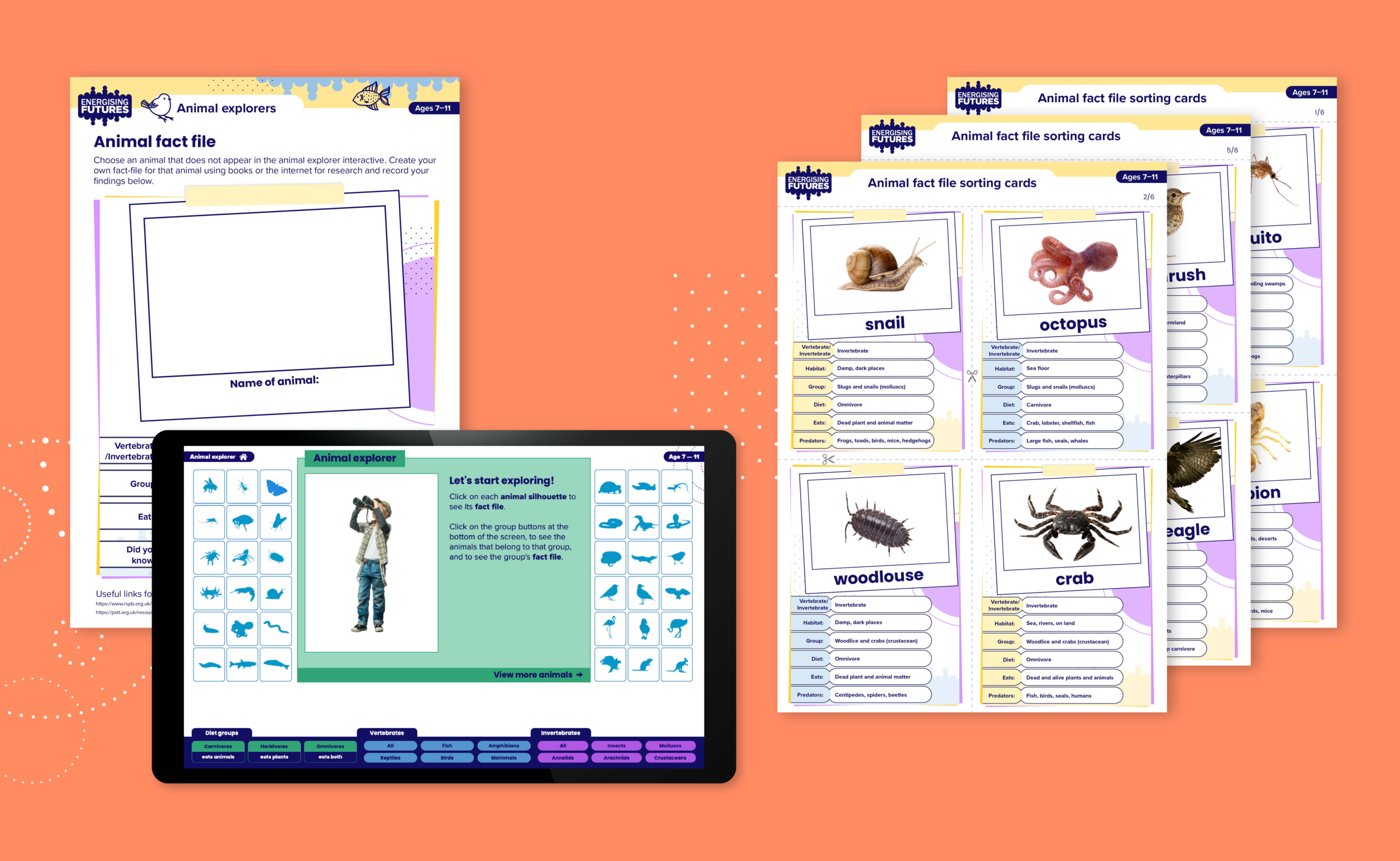 Animal explorer (ages 7-11) | Energising Futures