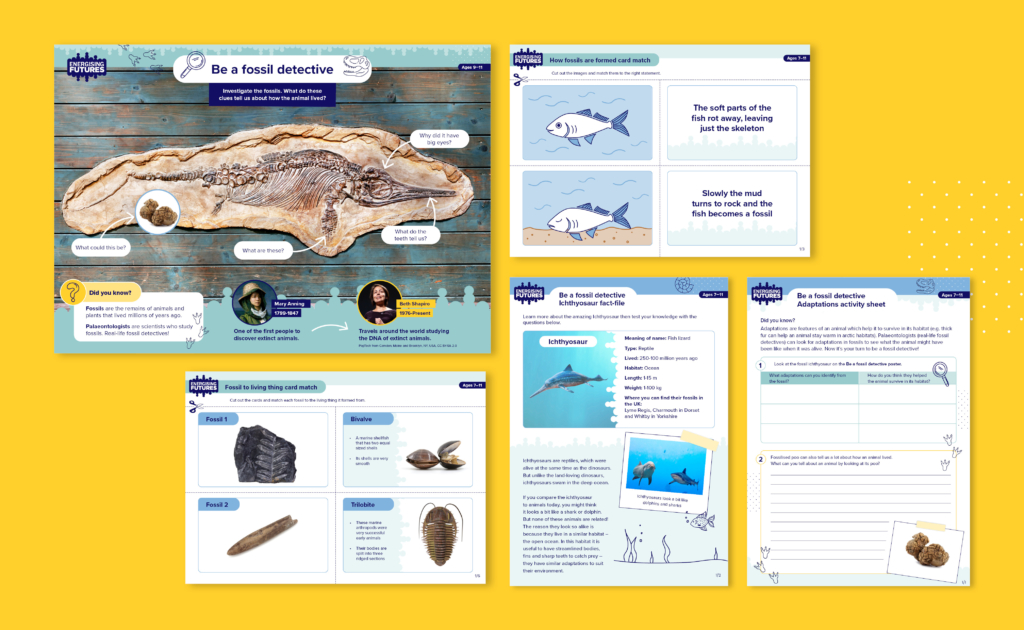 Be a fossil detective | Energising Futures