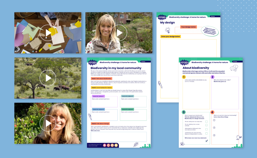 Biodiversity challenge (primary) | Energising Futures