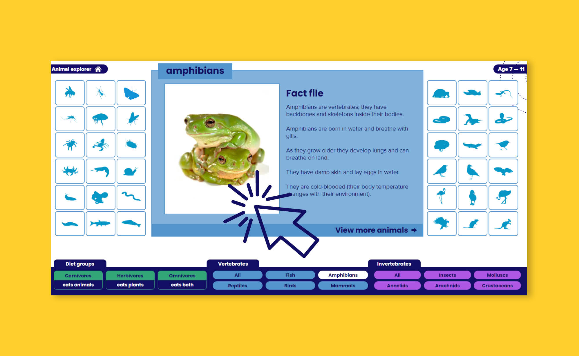 Animal Explorer Interactive (7-11) | Energising Futures