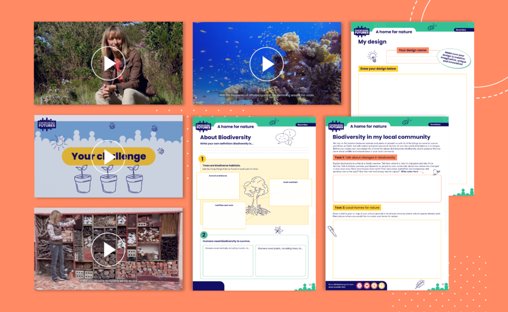 Biodiversity challenge (secondary) | Energising Futures