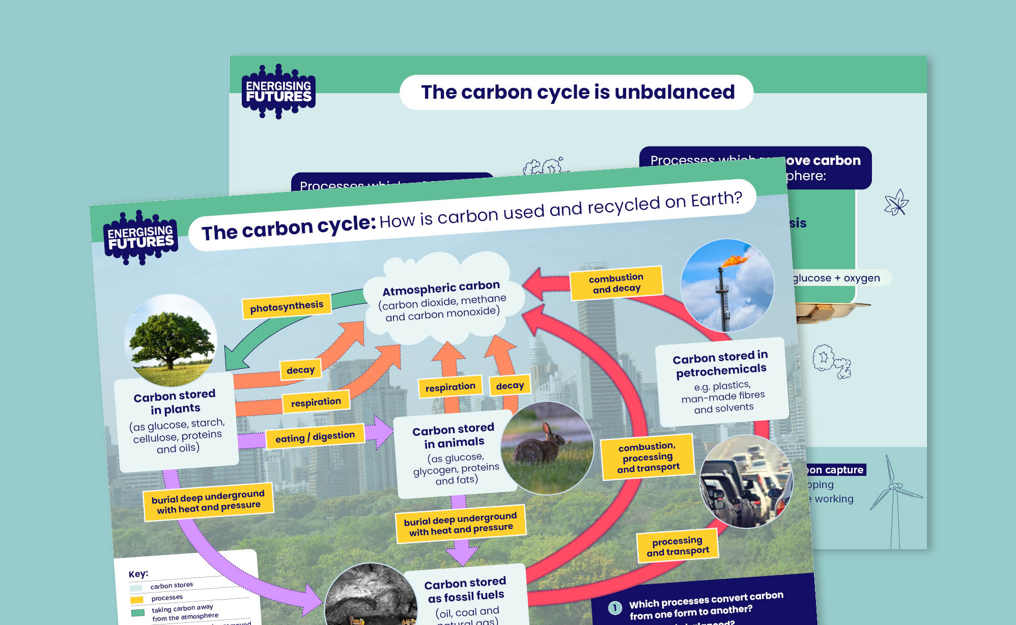 Carbon cycle poster (11-14) | Energising Futures