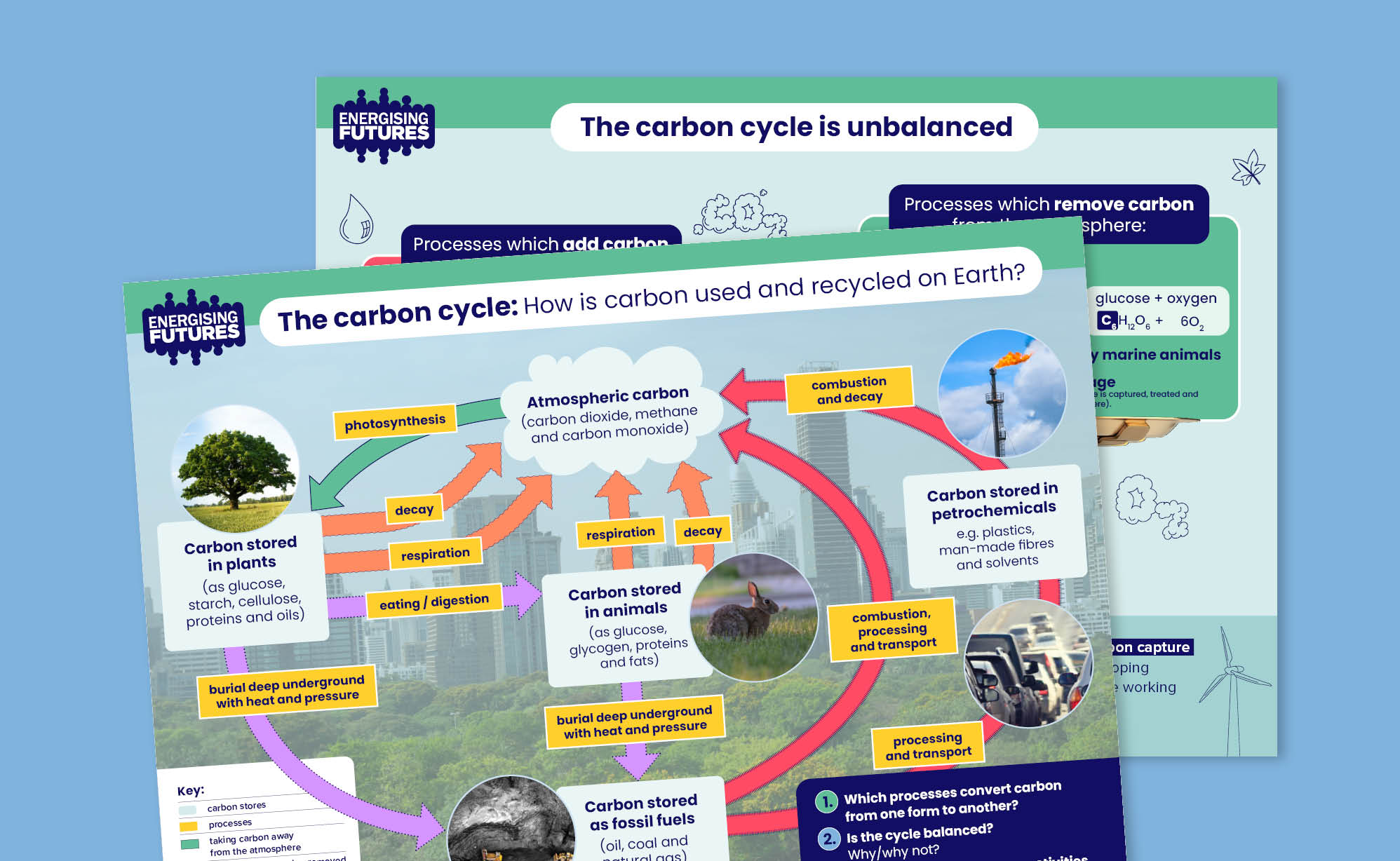Carbon cycle poster (14-16) | Energising Futures