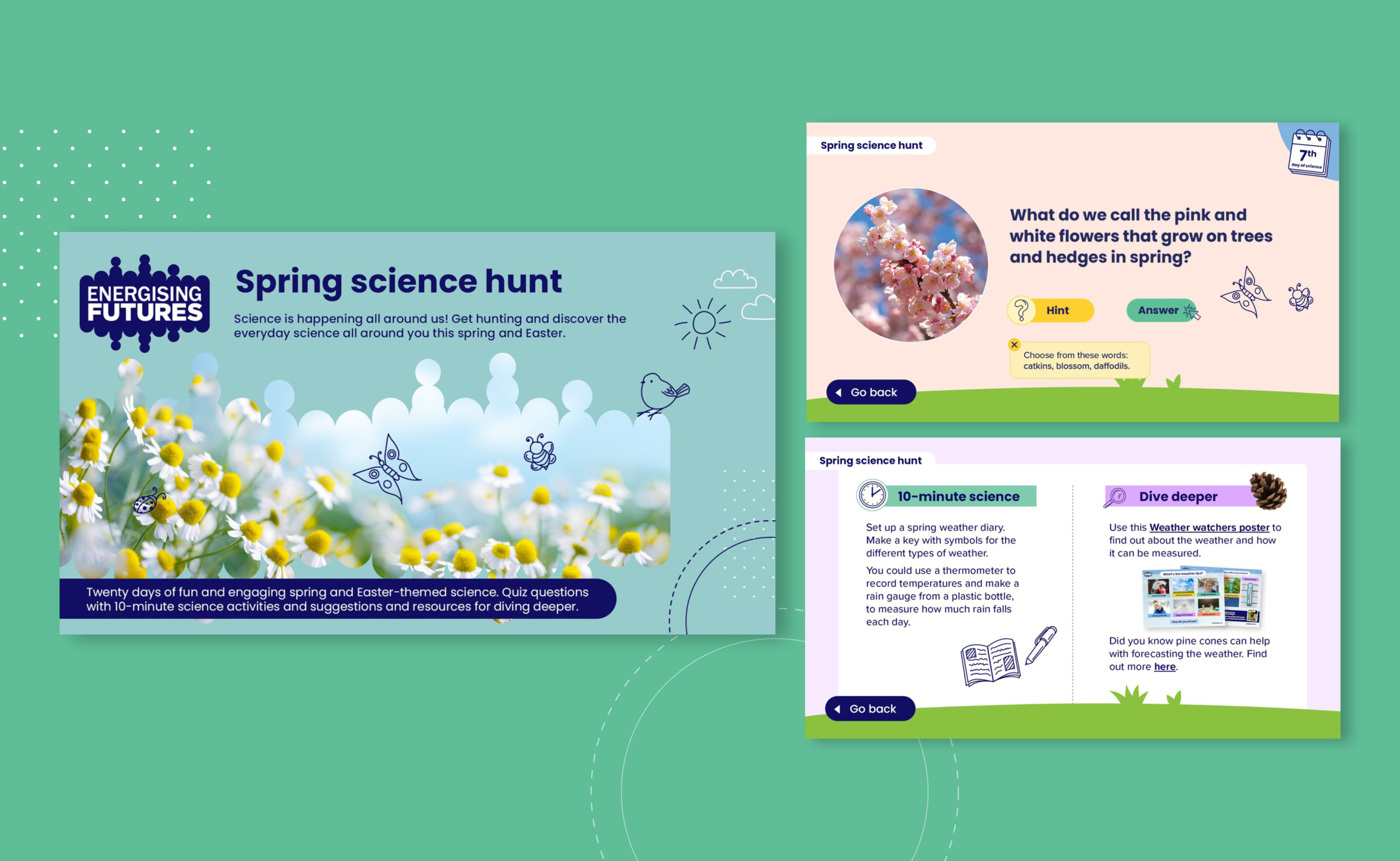 Spring science hunt | Energising Futures