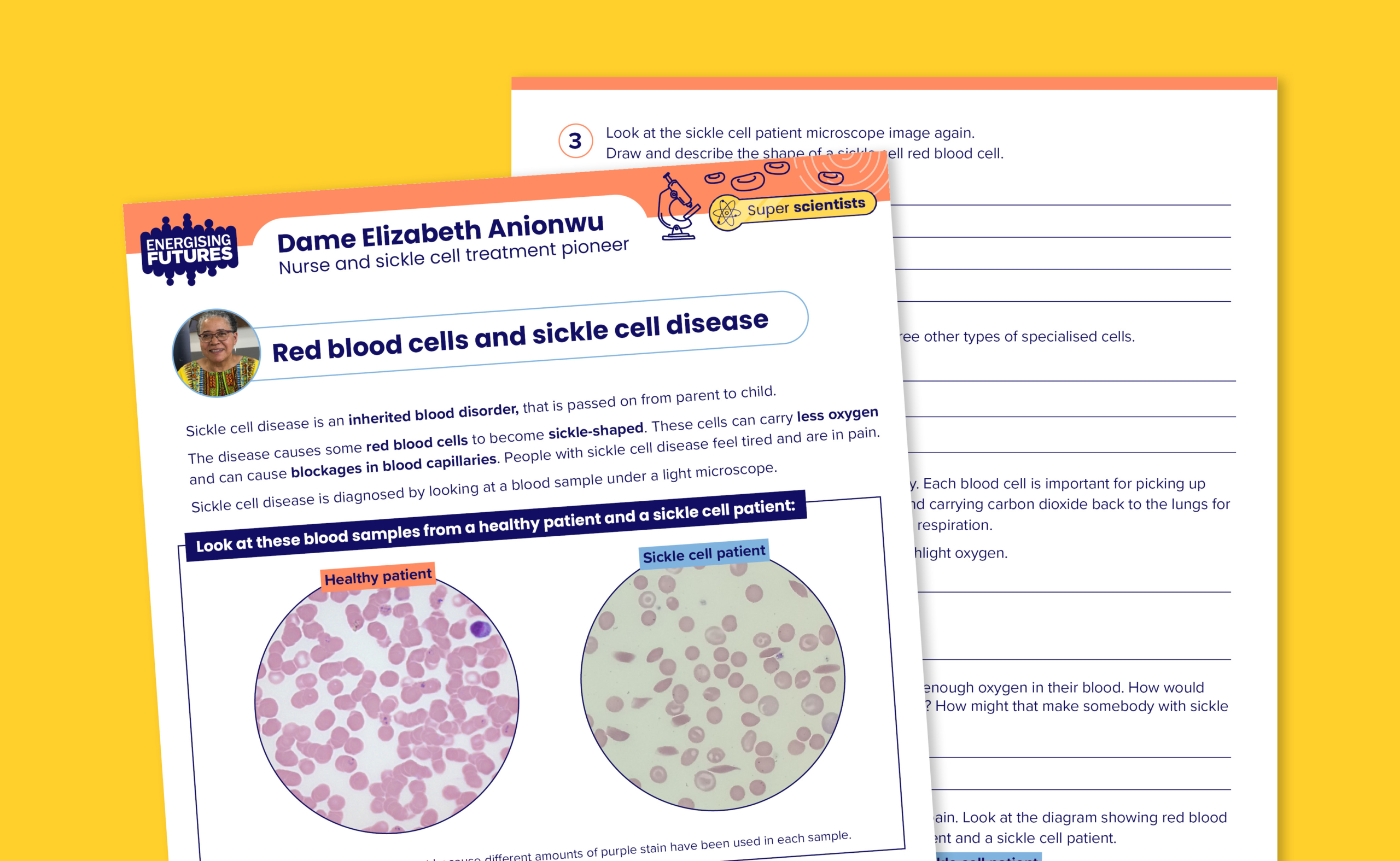 Dame Elizabeth Anionwu blood cells activity sheet | Energising Futures