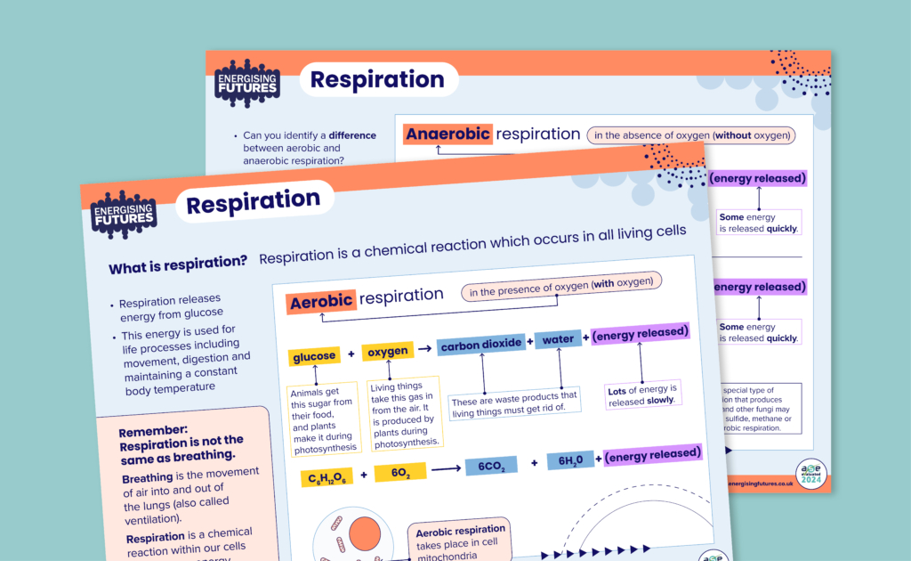 Respiration poster: with symbol equation (14-16) | Energising Futures