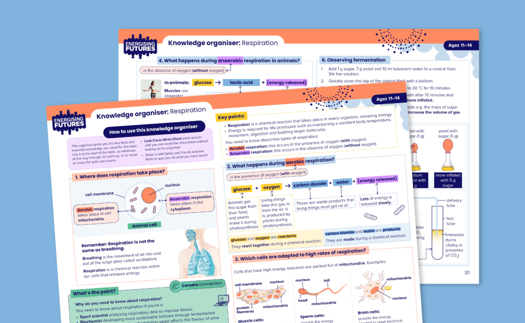 Respiration knowledge organiser (11-14) | Energising Futures