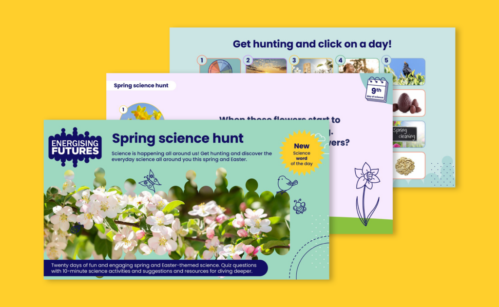 Spring science hunt (ages 7-11) | Energising Futures
