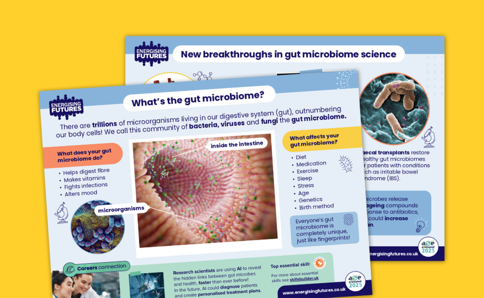 Nutrition and digestion gut microbiome poster | Energising Futures